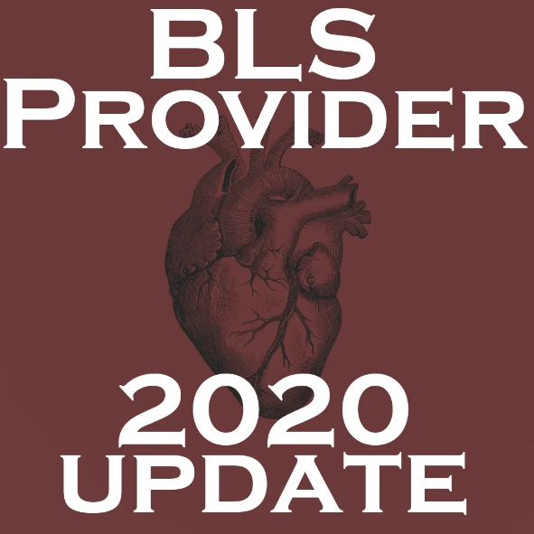 BLS Ecards | Loving Heart Community Training Center LLC